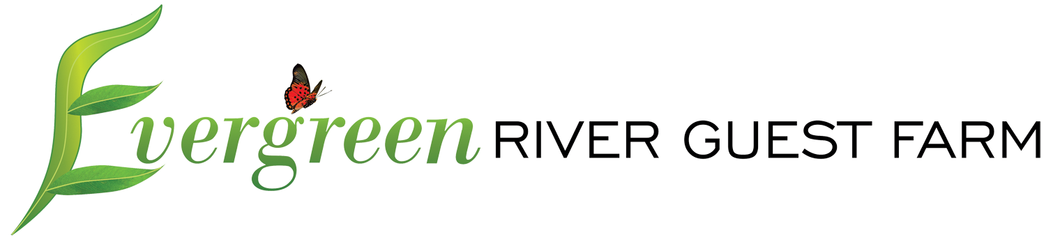our units - Evergreen River Guest Farm